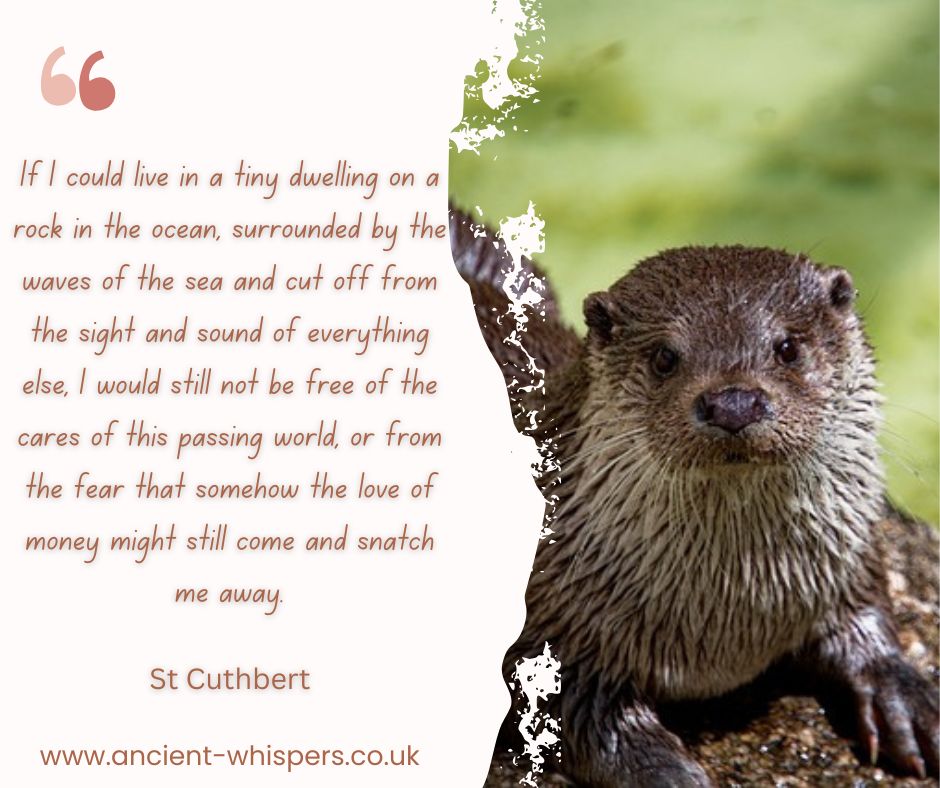 Dwelling on the Rock: Reflections on St. Cuthbert’s Wisdom – Ancient ...